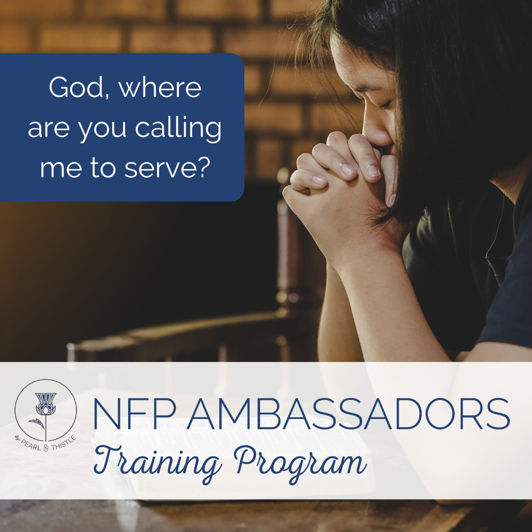 Home [pearlandthistle.podia.com]